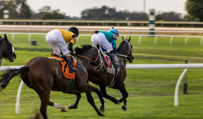 2025 April Selected Horses of Racing Age Sale