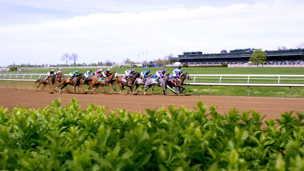 2025 April Selected Horses of Racing Age Sale