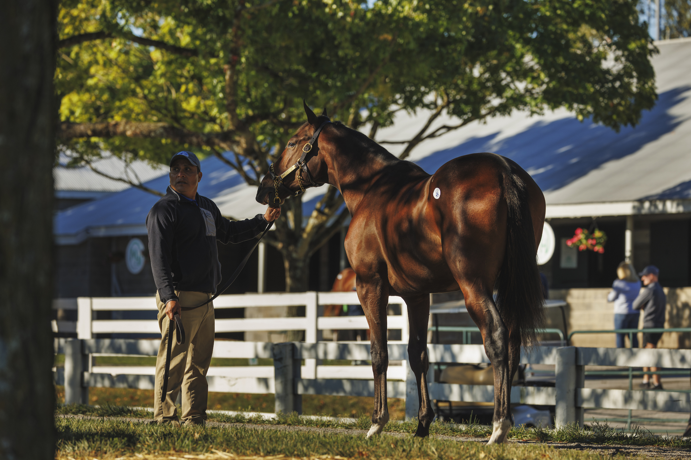 Keeneland Grounds Maps