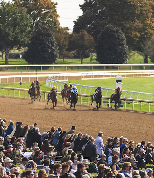 Plan Your Day at the Races | Keeneland
