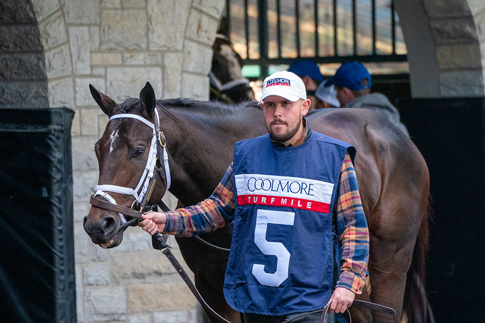 Coolmore