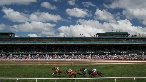 Group Reservations In Reserved Grandstand Seating