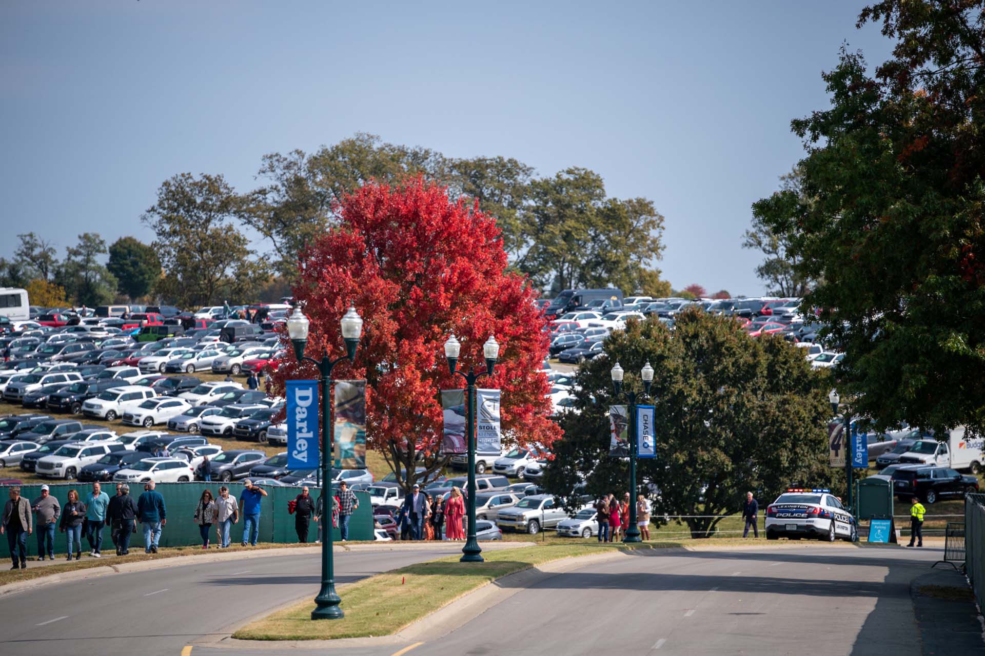 Plan Your Day At The Races